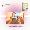 아로마테라피 감정 오일 특강 8월 19일 줌 강의 학교폭력 담당교사 및 심리상담사 웃음치료와 더불어 힐링타임~ 네이버 블로그
